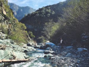 Pasadena Charm - Best Hiking Trails Around Pasadena - Pasadena Charm